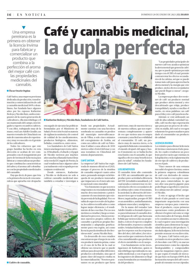 Café y cannabis medicinal,la dupla perfecta - Café Sativa - Café de ...